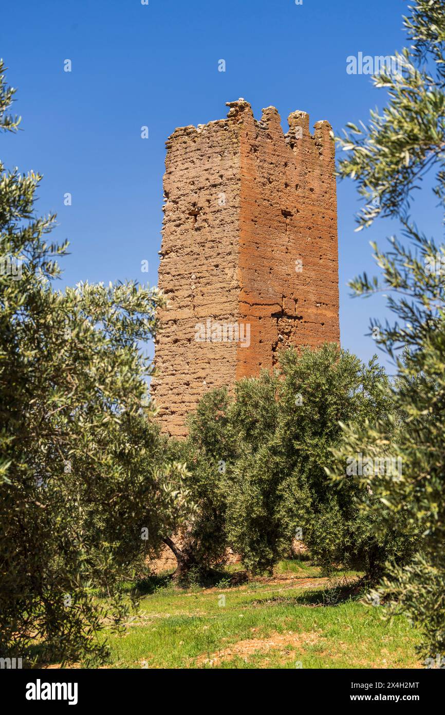 towers of Santa Catalina, fortified tower from the Muslim period ...