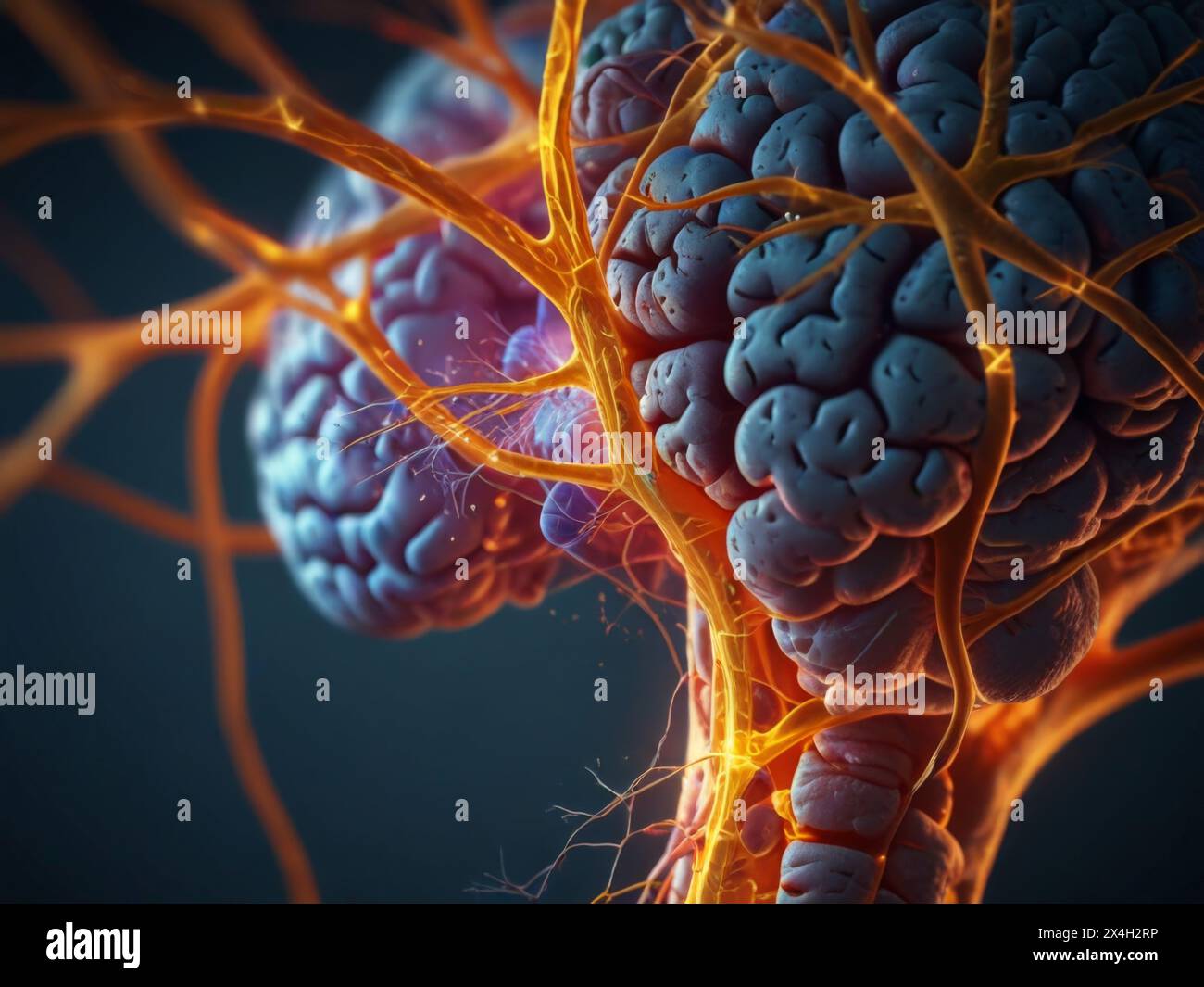 Chemical synapses hi-res stock photography and images - Alamy