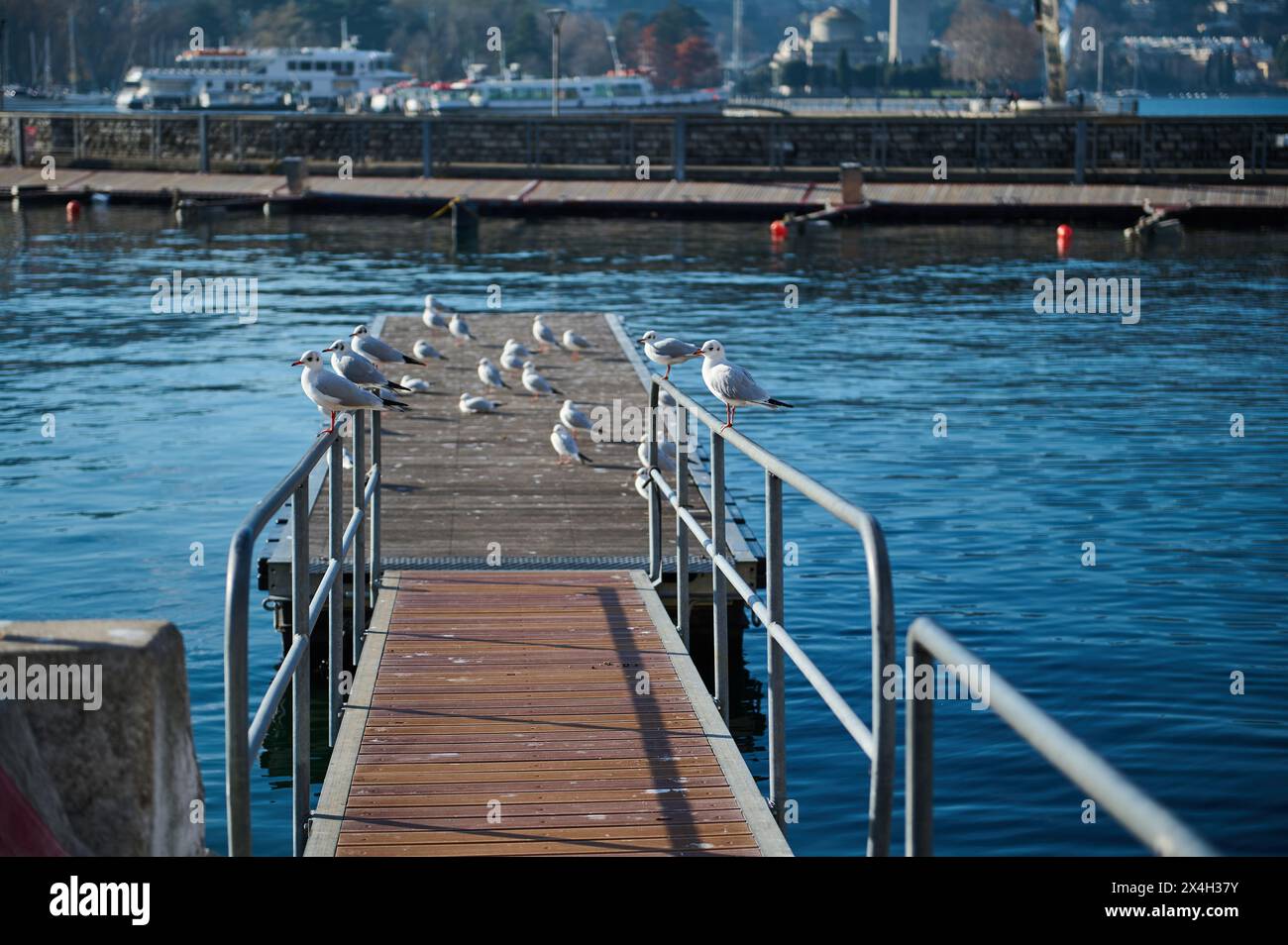 Beautiful view of a pedestrian bridge for boarding a ship or boat with ...
