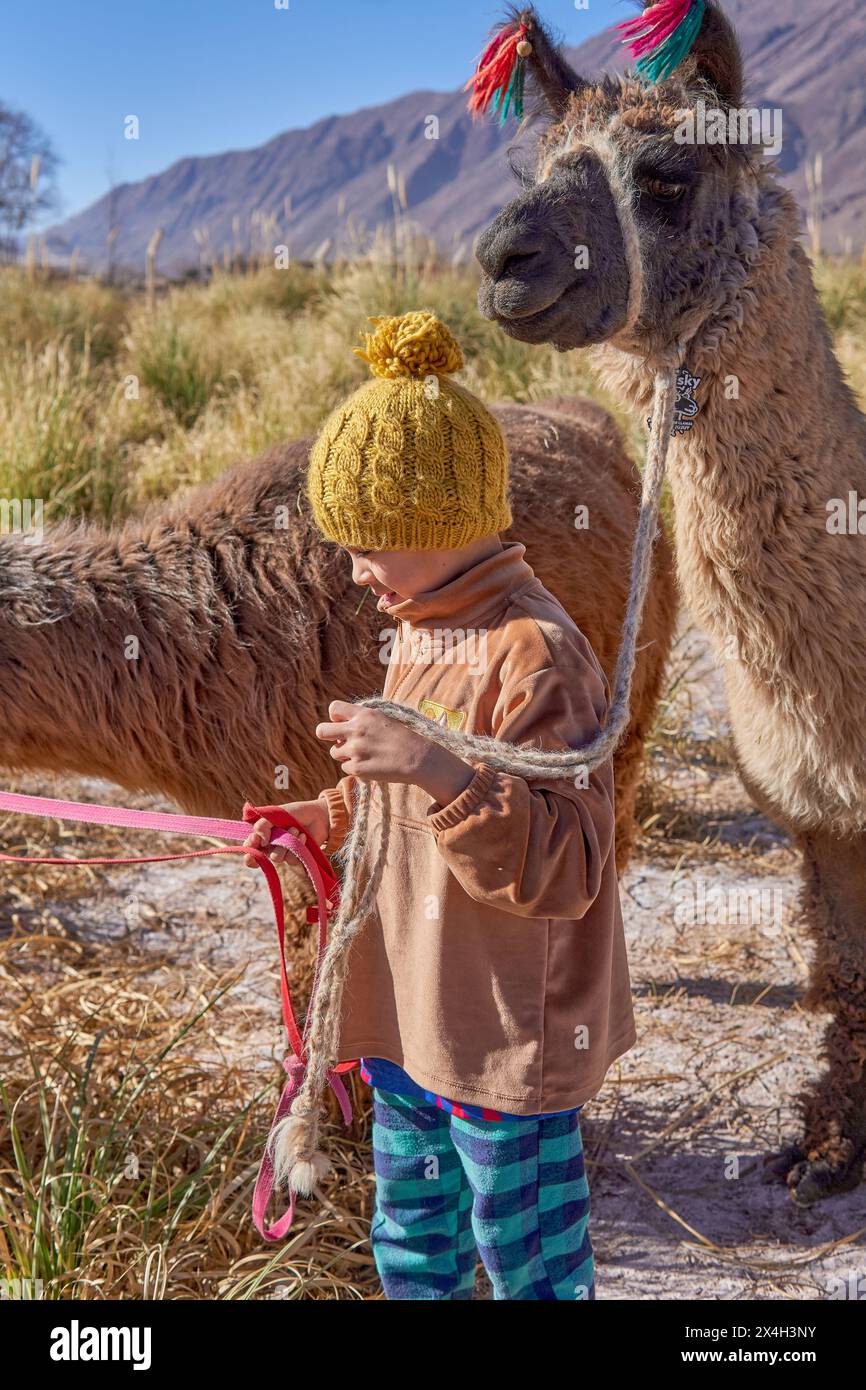 close-up portrait of Latin boy walking in profile carrying a llama with ...