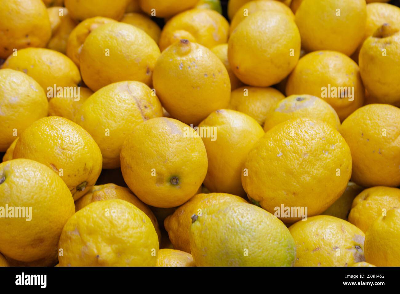Lemons on the market. Juicy lemons background. Yellow fruits. Heap of ...