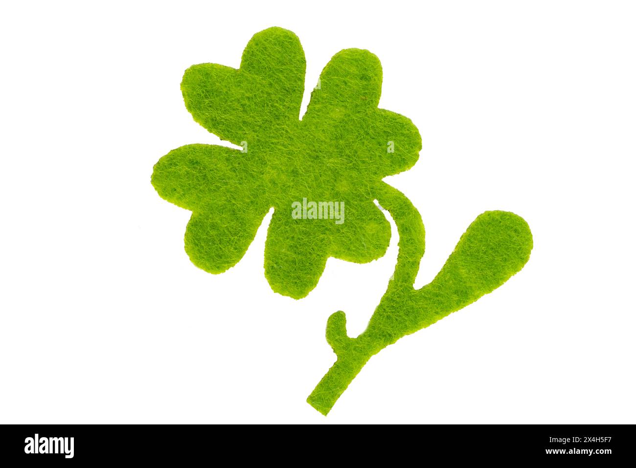 four leaf clover isolated on white background Stock Photo - Alamy
