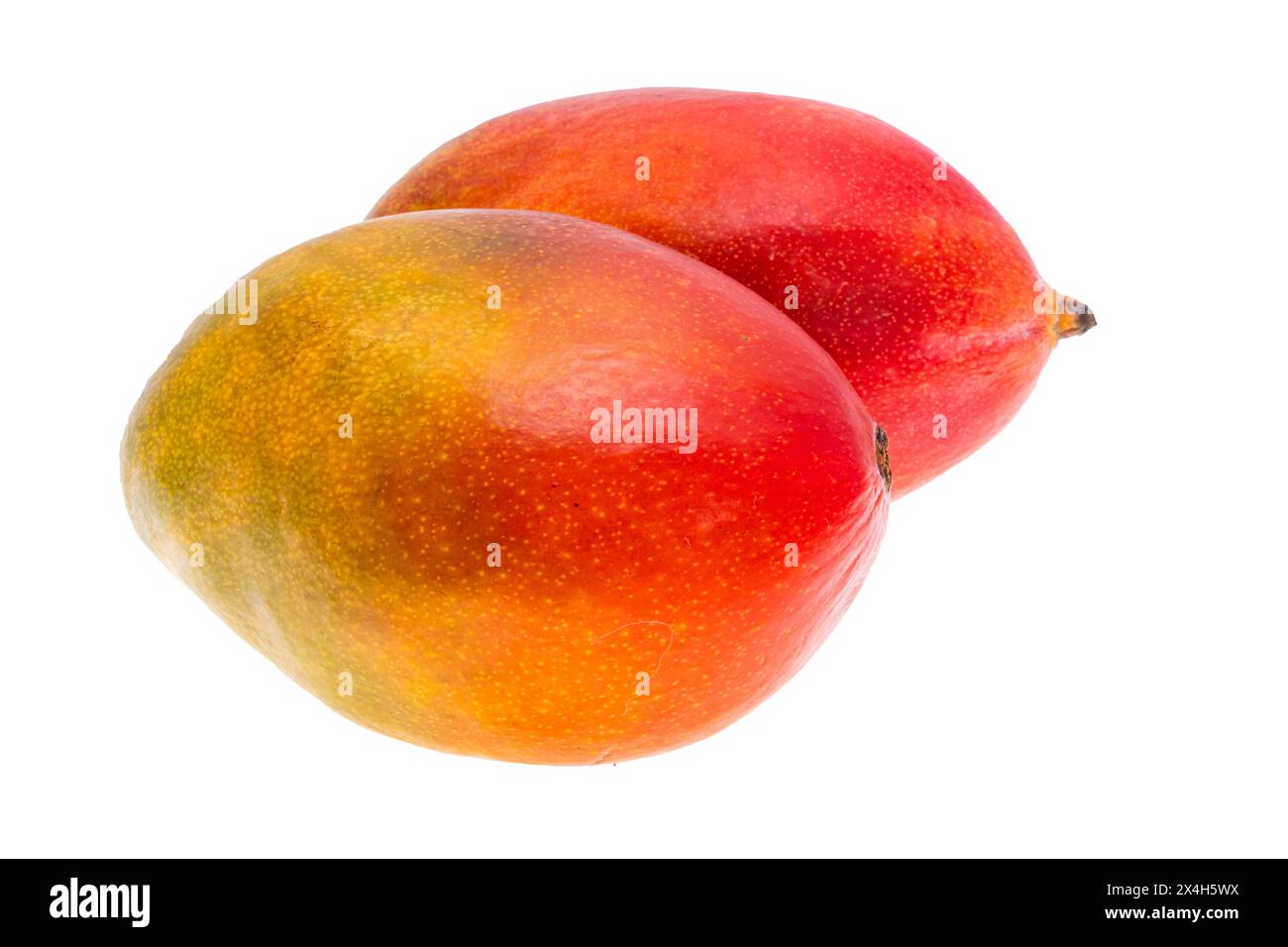 mango isolated on white background Stock Photo - Alamy