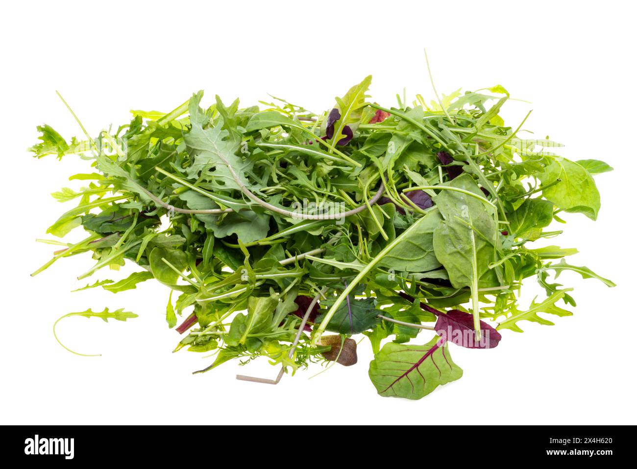 lettuce leaf mix isolated on white background Stock Photo - Alamy