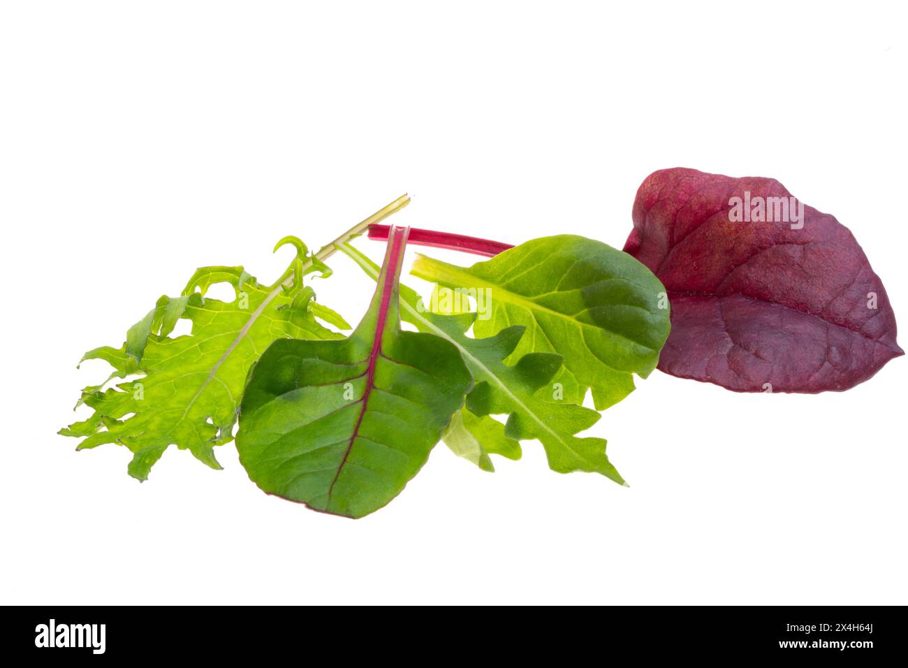 lettuce leaf mix isolated on white background Stock Photo - Alamy