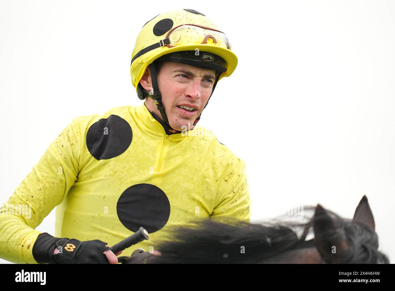 Jockey James Doyle after winning the William Hill King Charles II ...