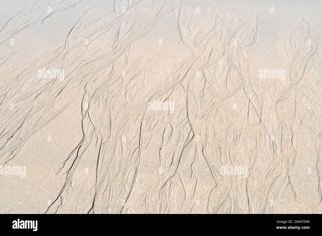 Sand patterns on Traigh Eais, Isle of Barra, Scotland Stock Photo - Alamy
