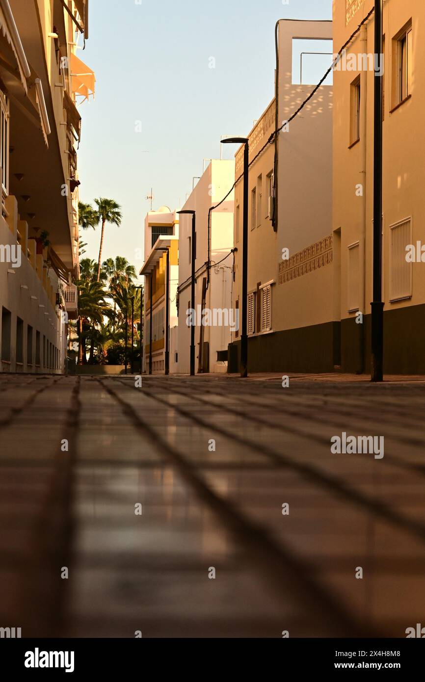 an evening stroll captured from ground level, highlighting the serene ...