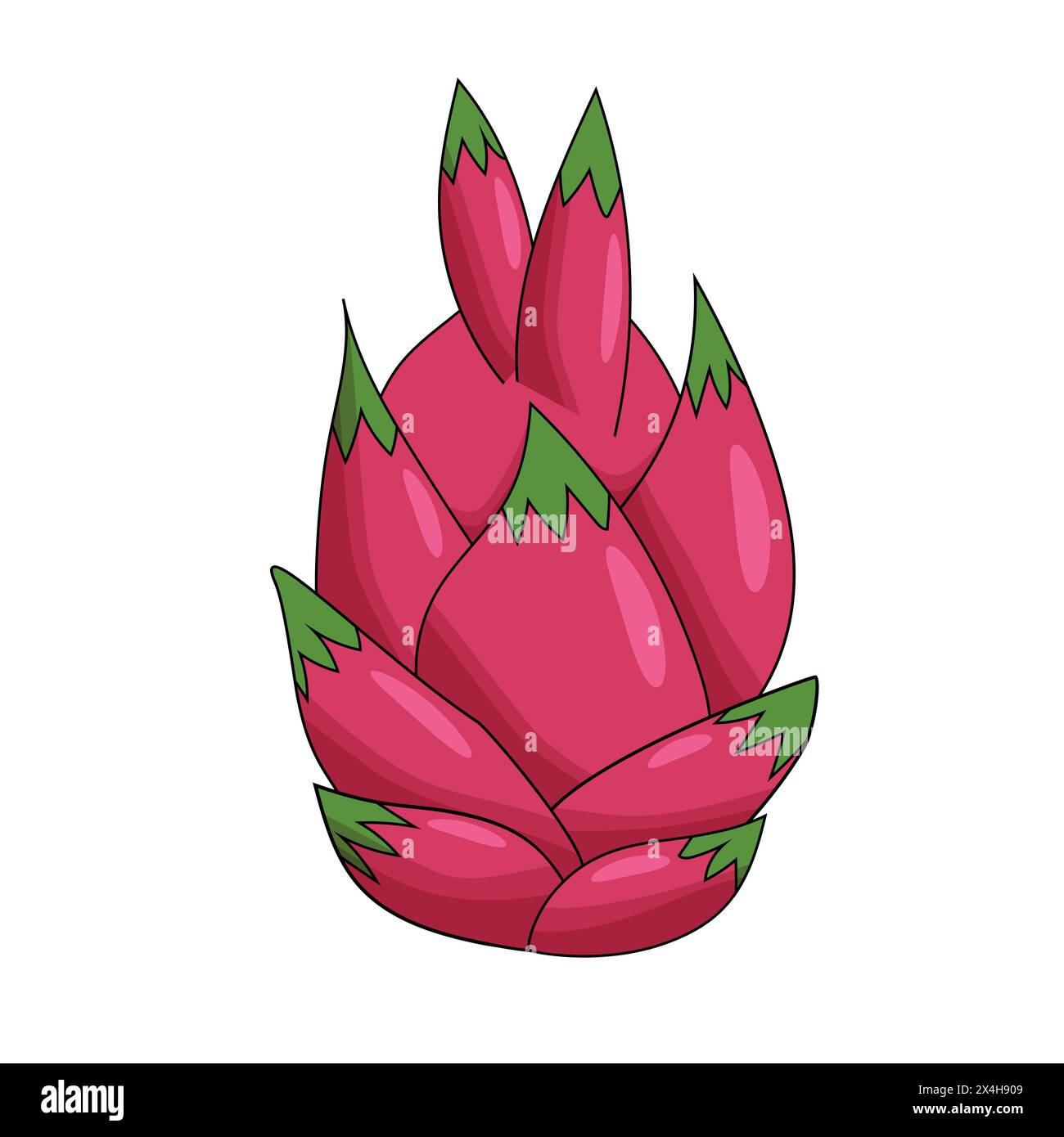 Red whole dragon fruit or pitaya, cartoon icon isolated on white ...