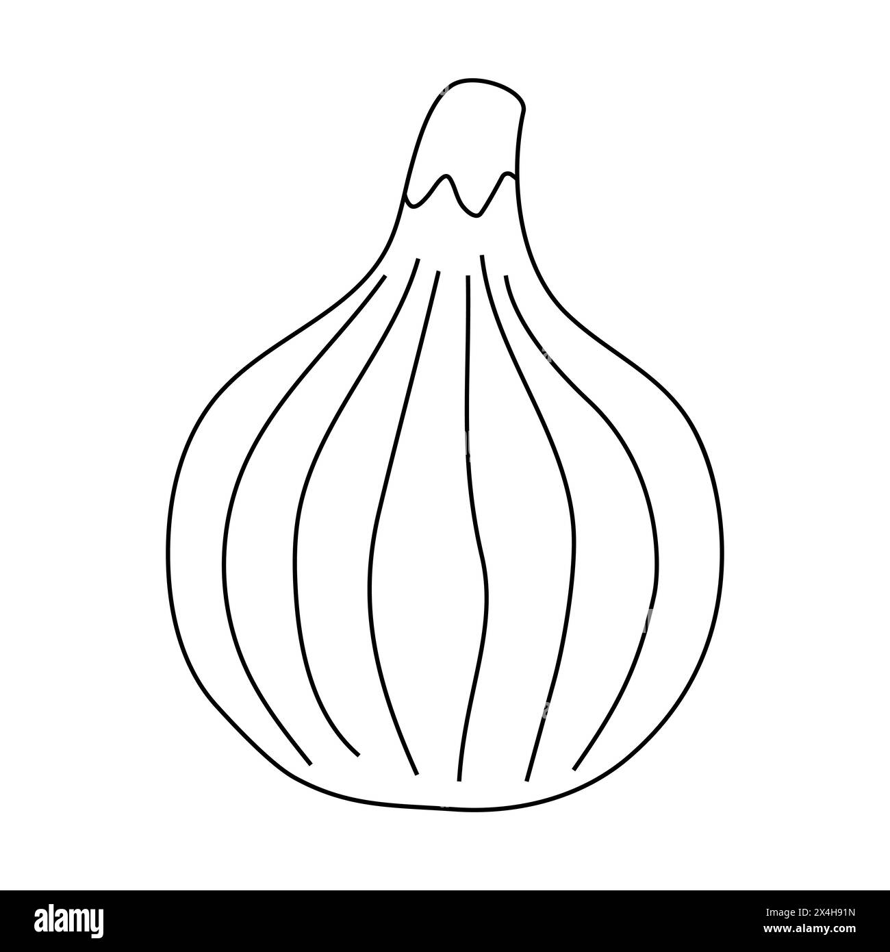 Ripe fig fruit, doodle style flat vector outline illustration for kids ...