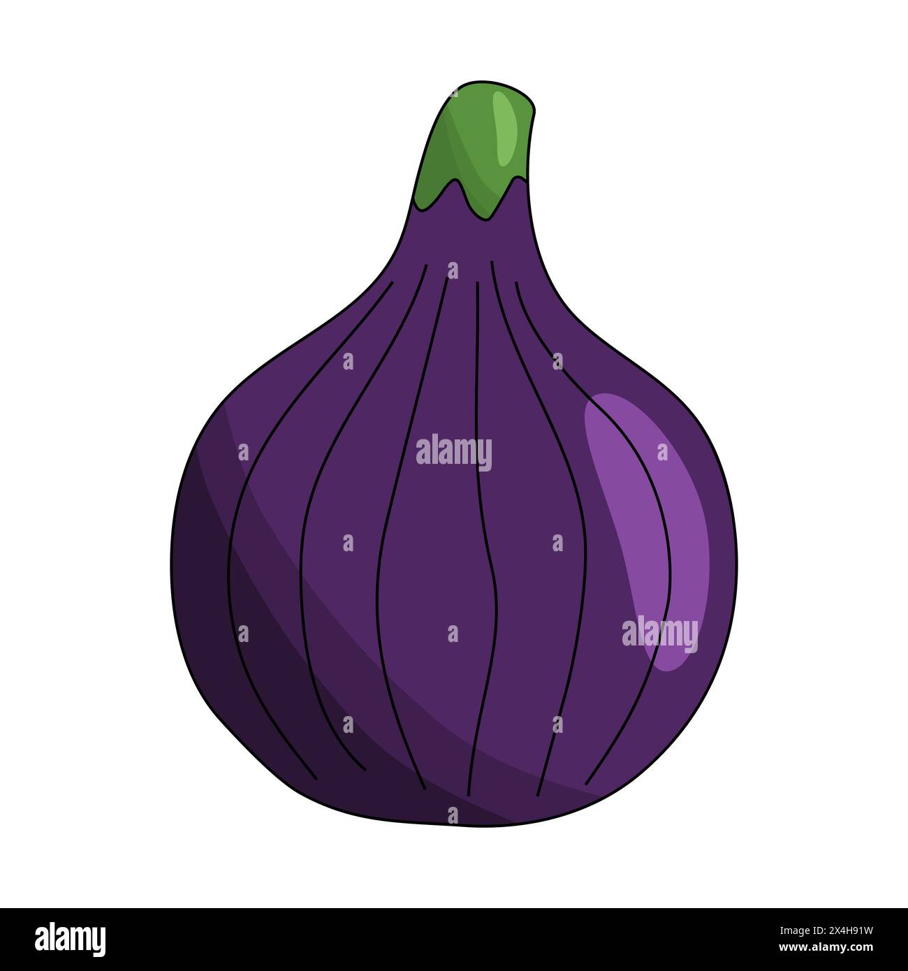 Ripe fig fruit, cartoon icon isolated on white, summer fruit vector ...