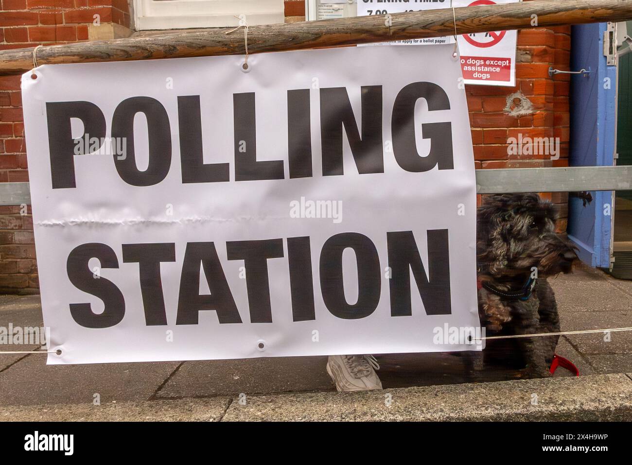 Brighton, May 2nd 2024: Polling station in Exeter Street Stock Photo ...
