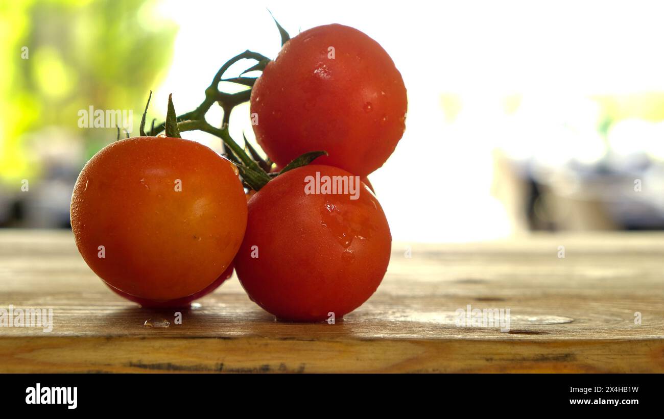 Close up fresh washed red tomatoes with leaves isolated restaurant ...