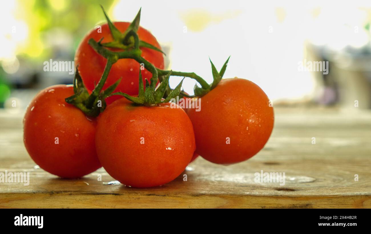 Close up fresh washed red tomatoes with leaves isolated restaurant ...