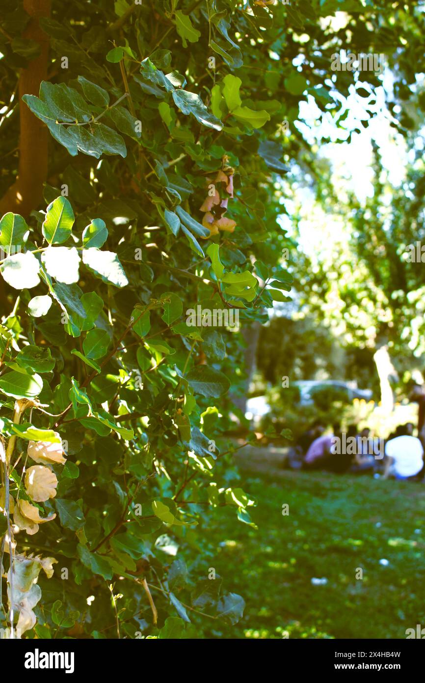 Calm and energetic place to relax, a part of green landscape presented ...