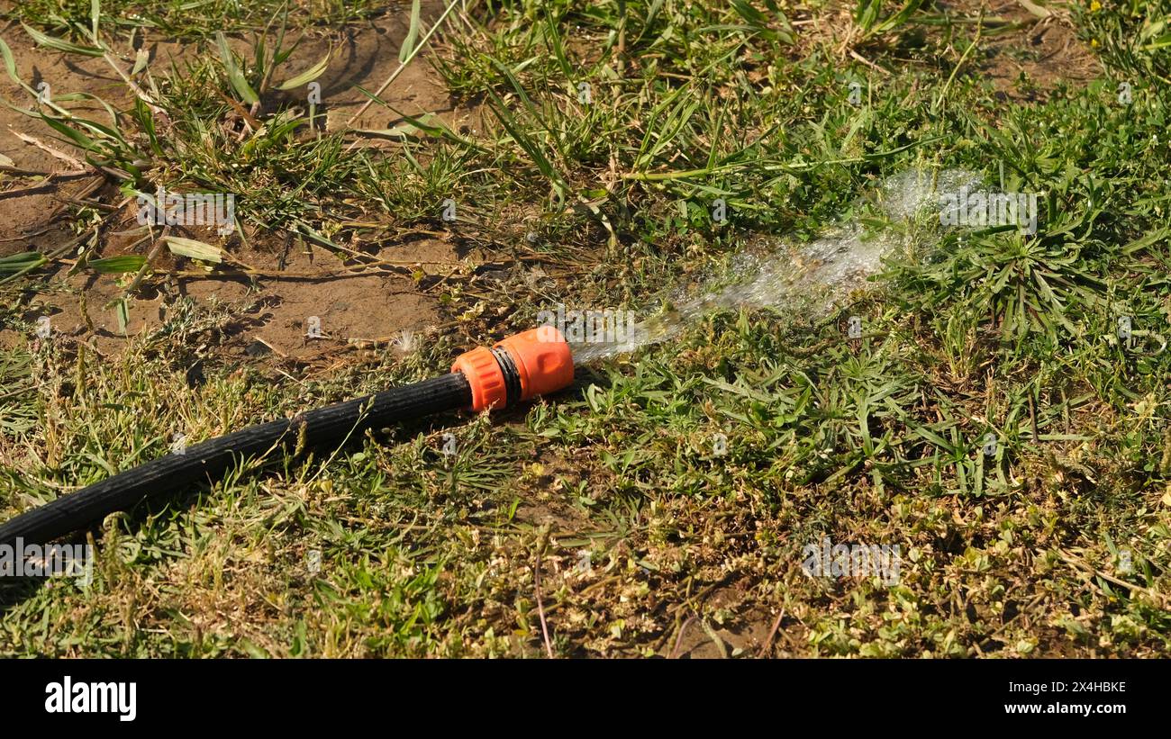 Pour water and grass closeup hi-res stock photography and images - Alamy