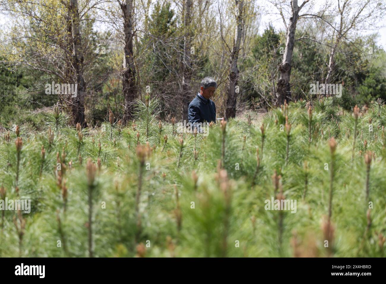 20 70 gr hi-res stock photography and images - Alamy