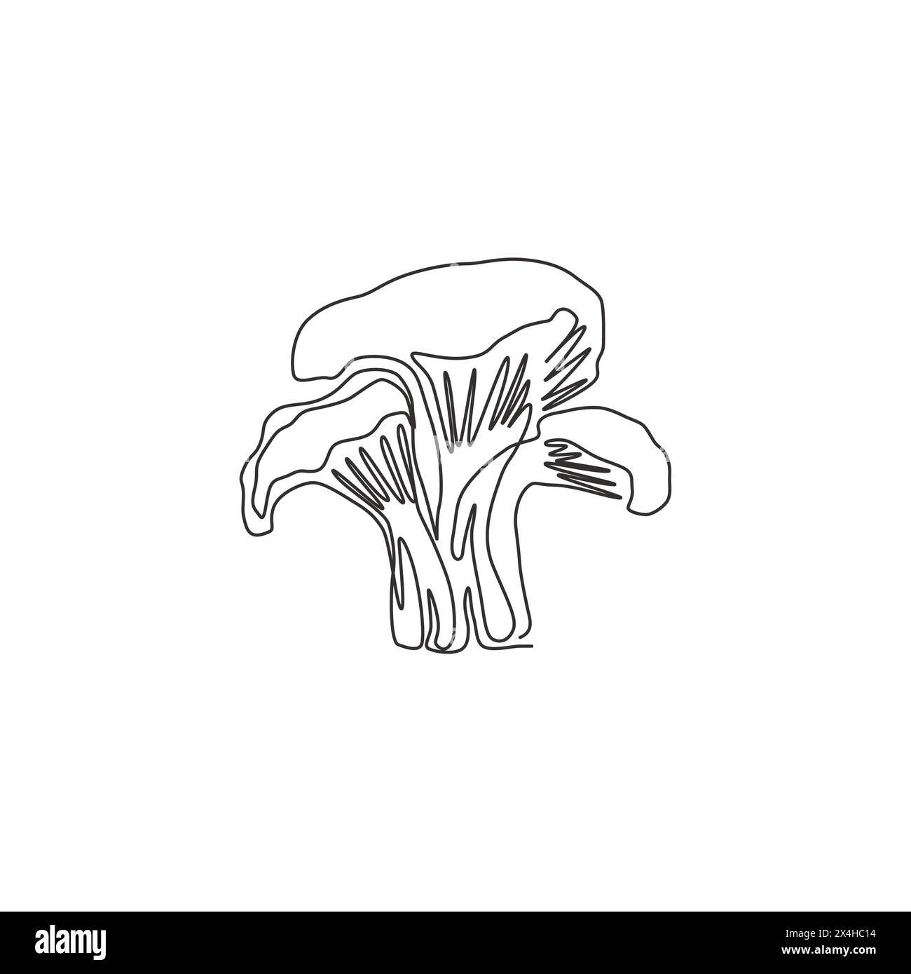 One continuous line drawing of whole healthy organic mushrooms for farm ...