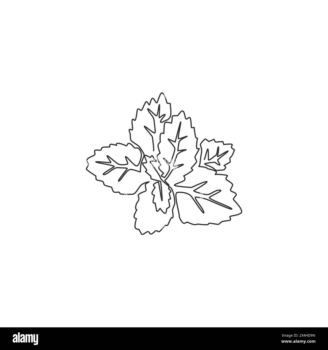 One single line drawing of healthy organic mint leaves for farm logo ...