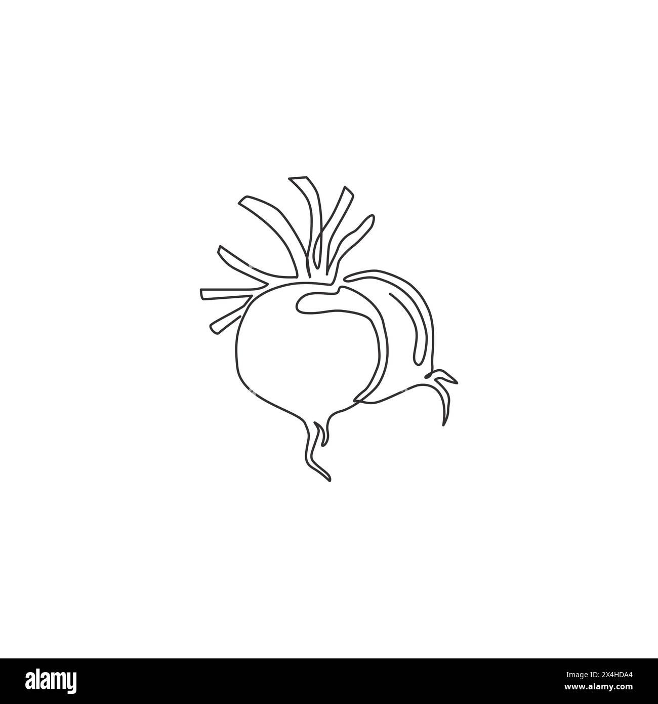One continuous line drawing of whole healthy organic red radish for ...