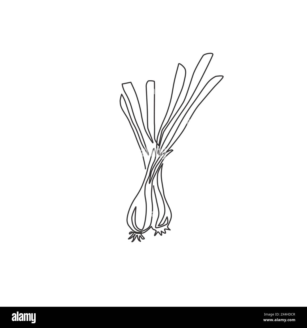 One single line drawing of whole healthy organic leek for plantation ...