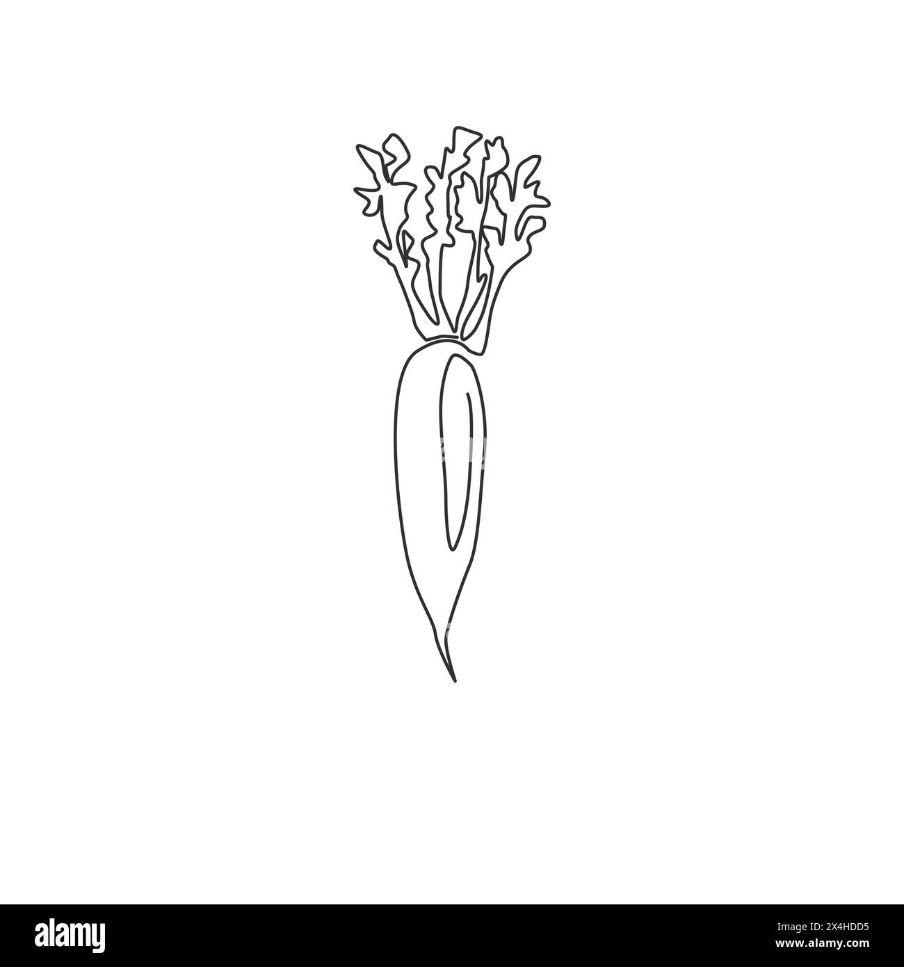 One single line drawing of whole healthy organic white radish for farm ...