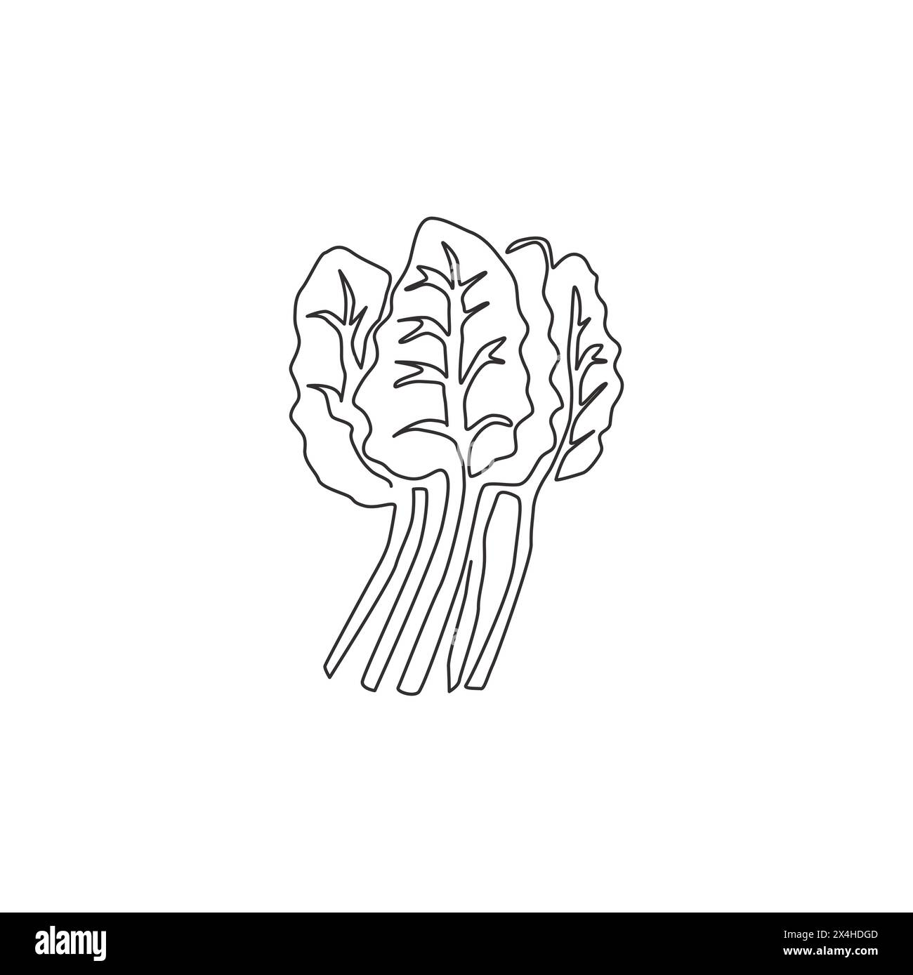 Swiss chard nutrition Stock Vector Images - Alamy