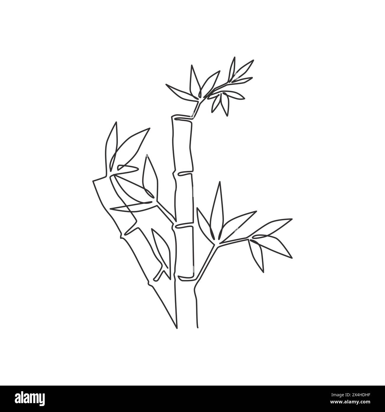 Single Continuous Line Drawing Of Bamboo Trees For Plantation Logo