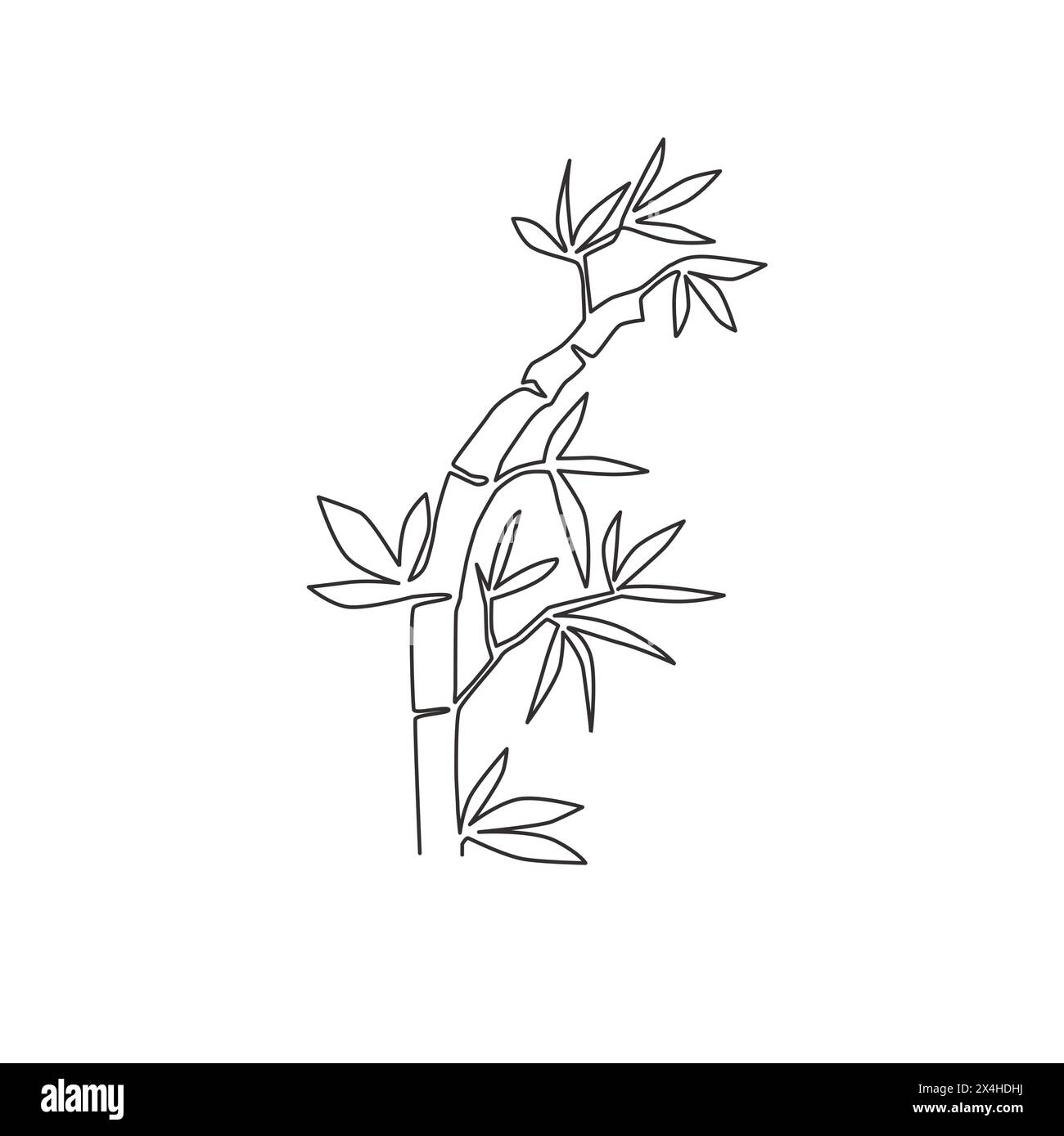 One single line drawing of bamboo trees for plantation logo identity ...