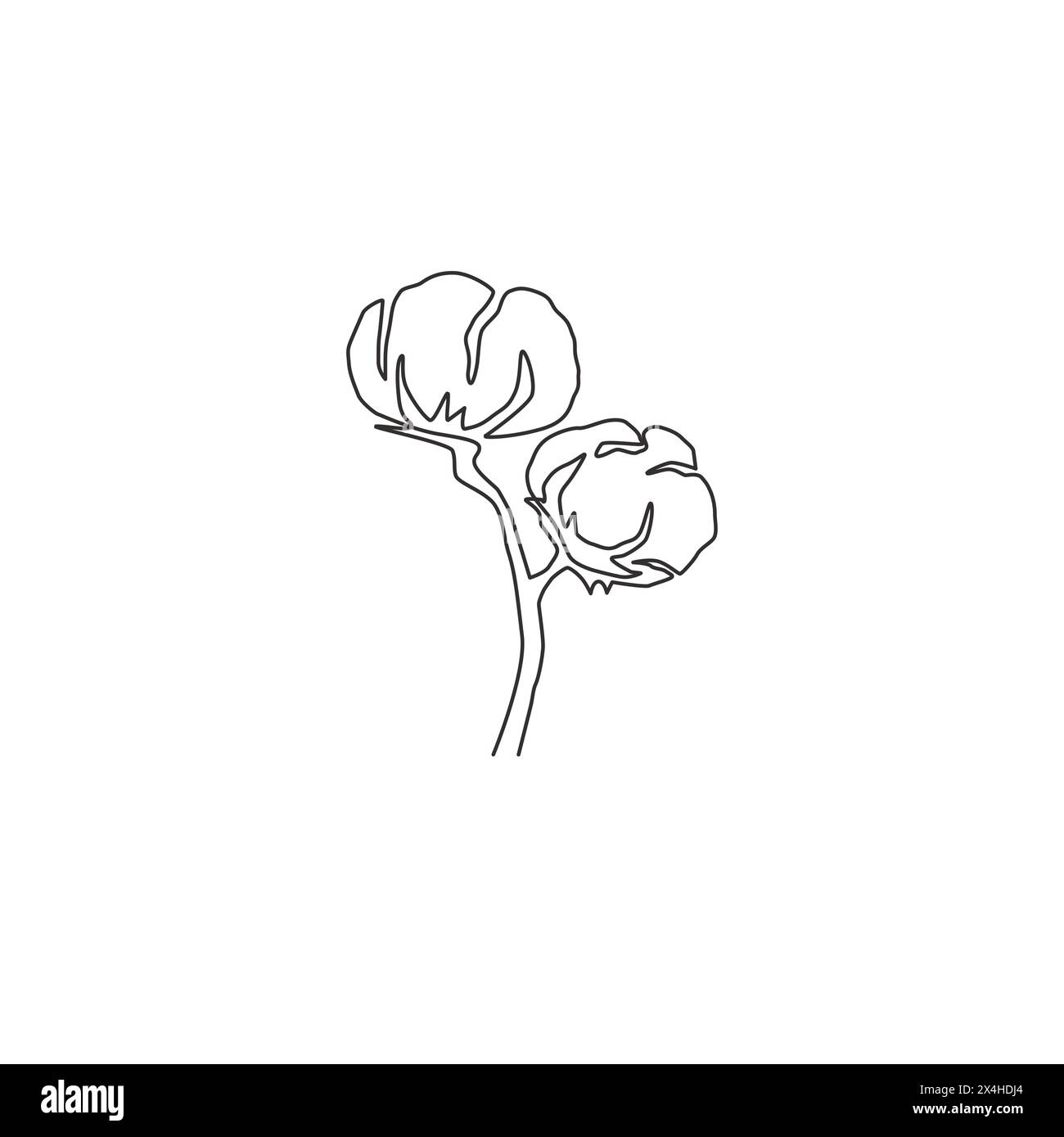Single continuous line drawing of whole soft and fluffy cotton flower ...