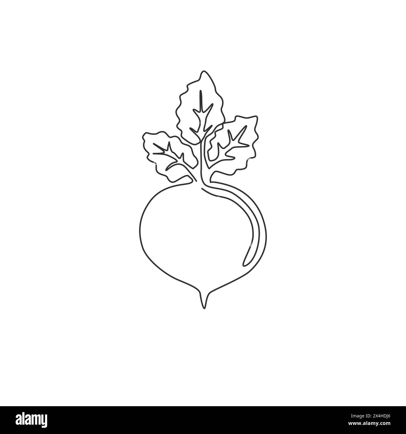 One continuous line drawing whole healthy organic beetroot for ...