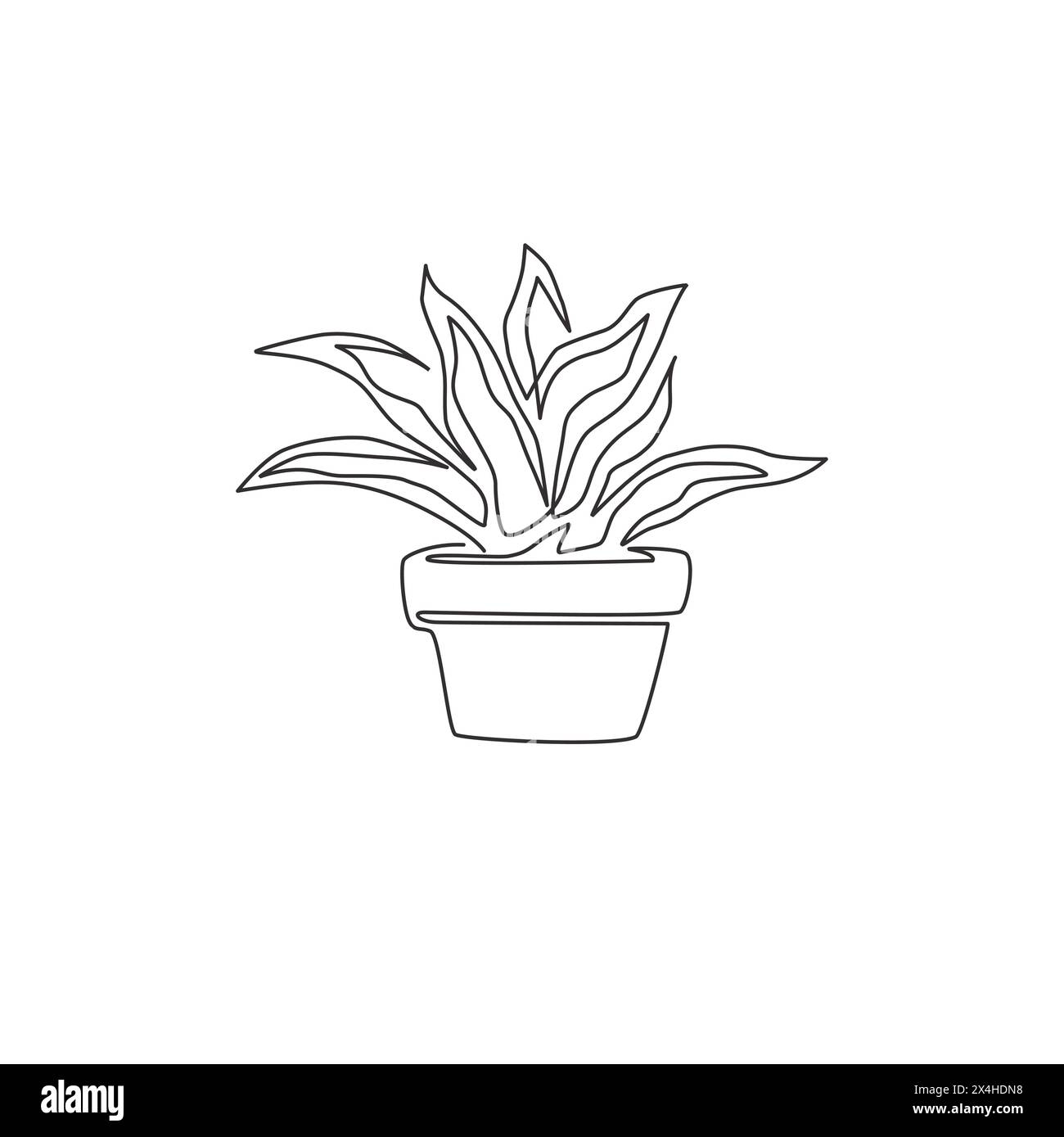 One single line drawing of potted snake plant for home decor logo ...