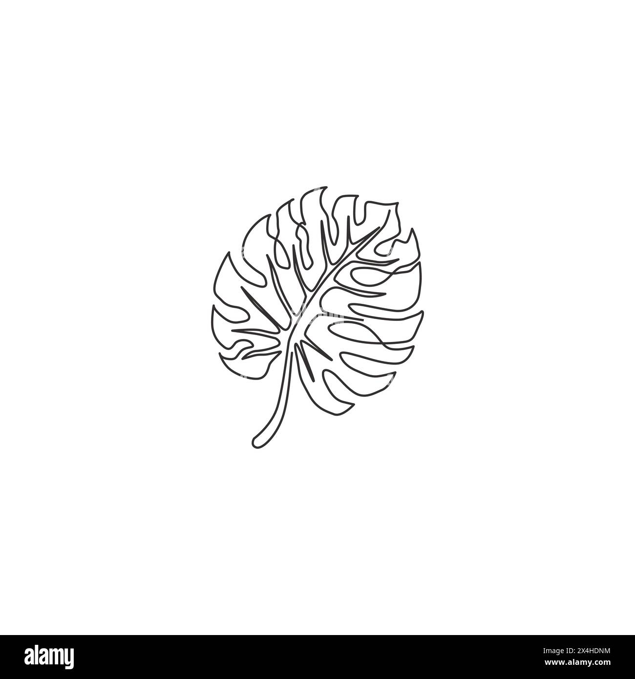 One continuous line drawing exotic beauty tropical leaf monstera plant ...