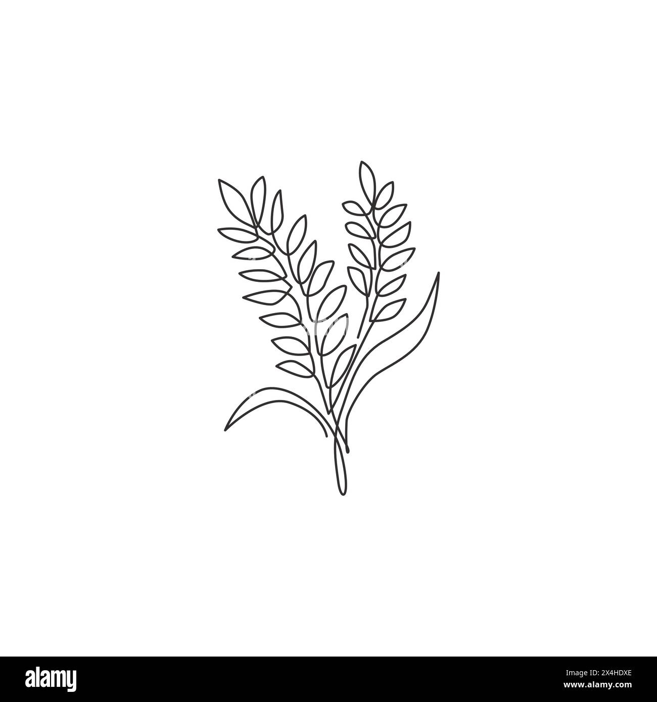 One continuous line drawing of whole healthy organic wheat grain for ...