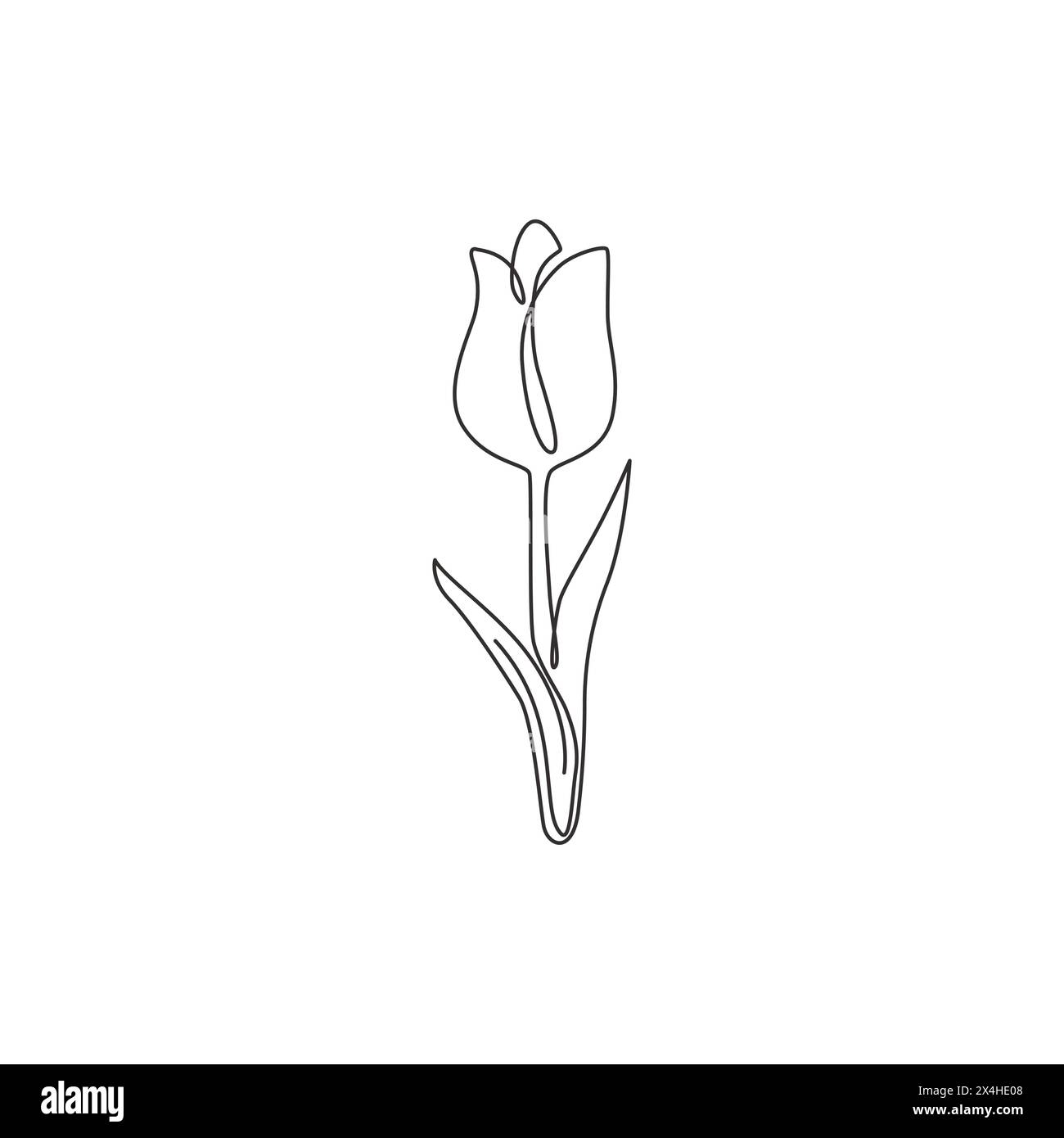 Continuous drawing nationality hi-res stock photography and images - Alamy