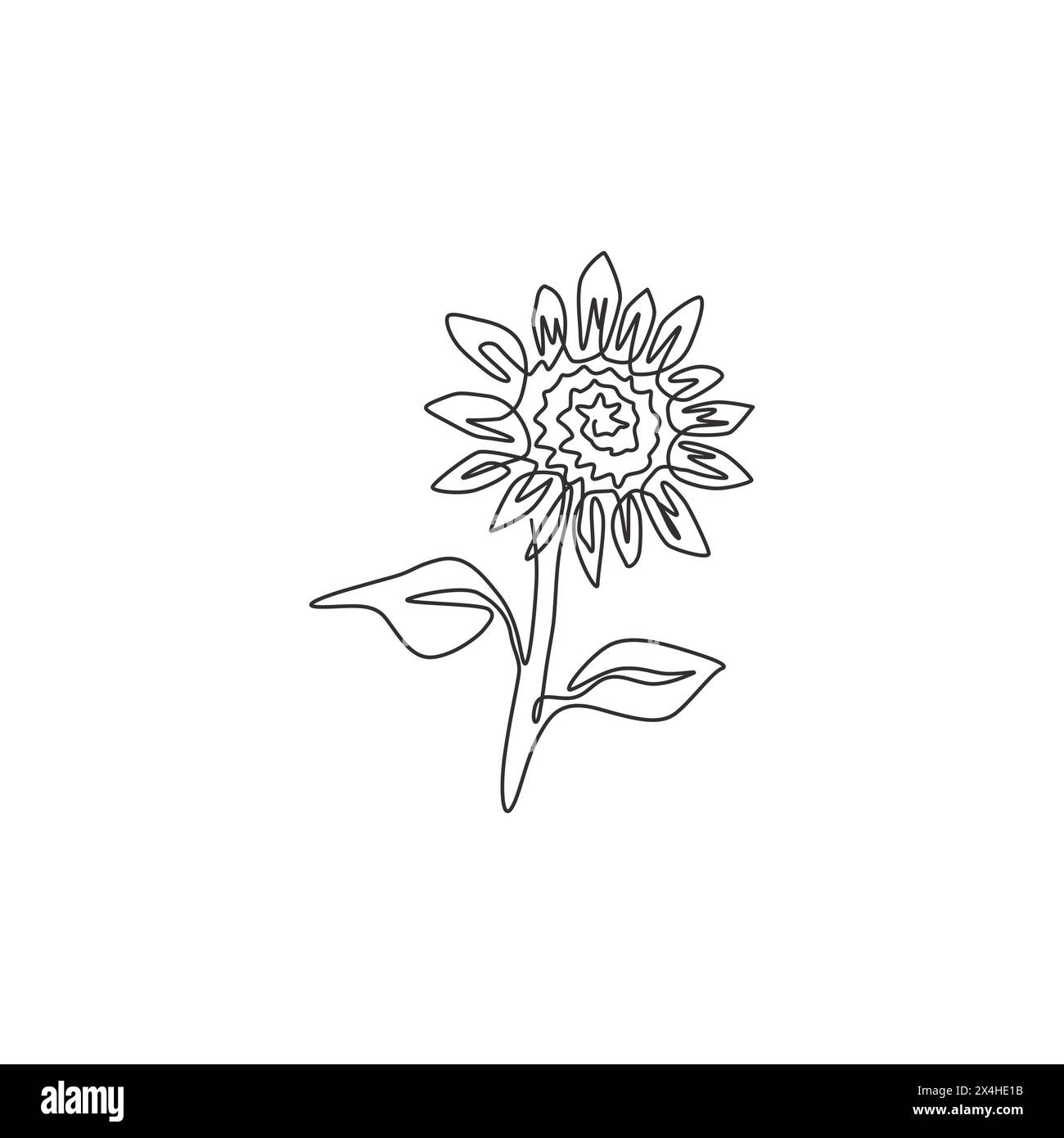 Minimalistic sunflower hi-res stock photography and images - Alamy