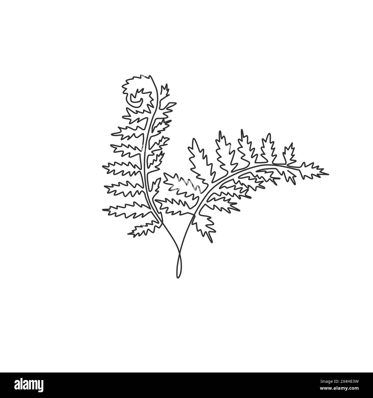 Single continuous line drawing of cute tropical leaves fern plant ...