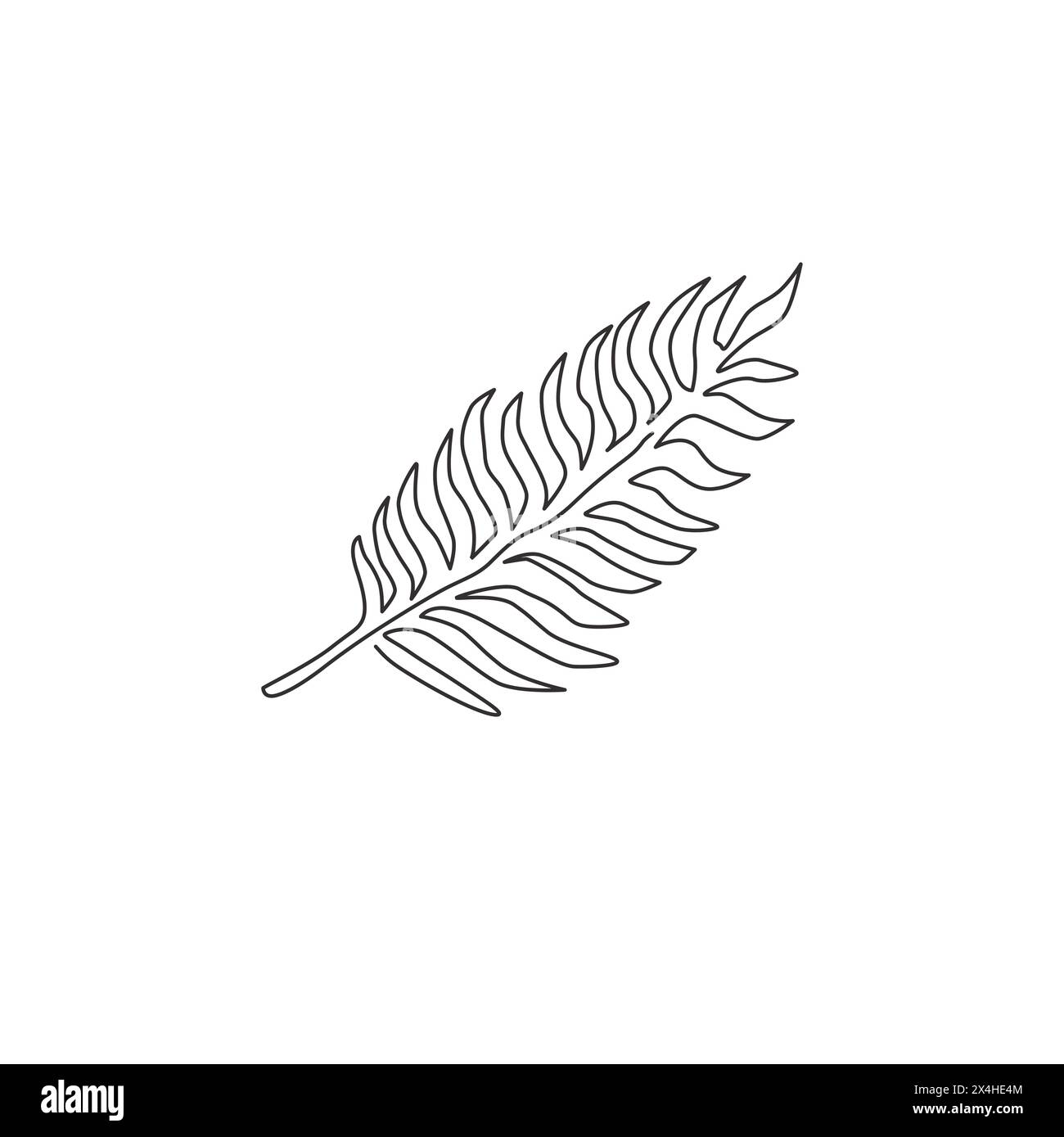 One continuous line drawing of tropical leaf fern plant. Printable ...