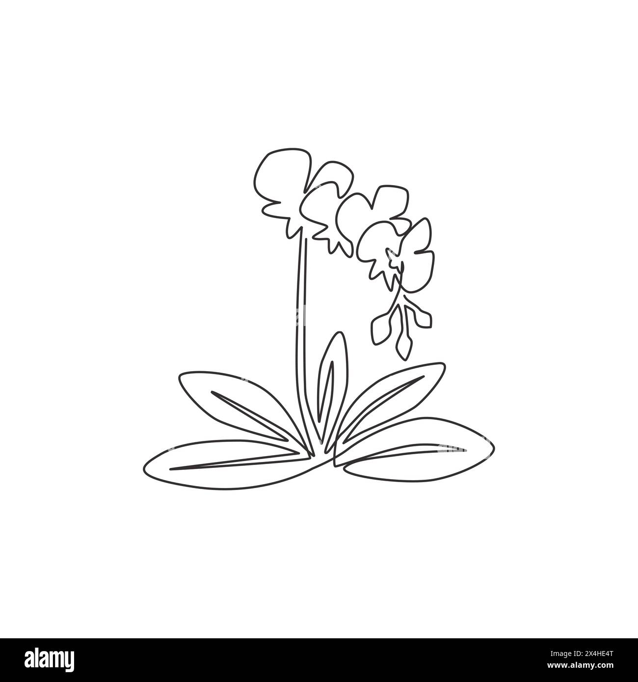 Lily gladiolus flower pink Stock Vector Images - Alamy