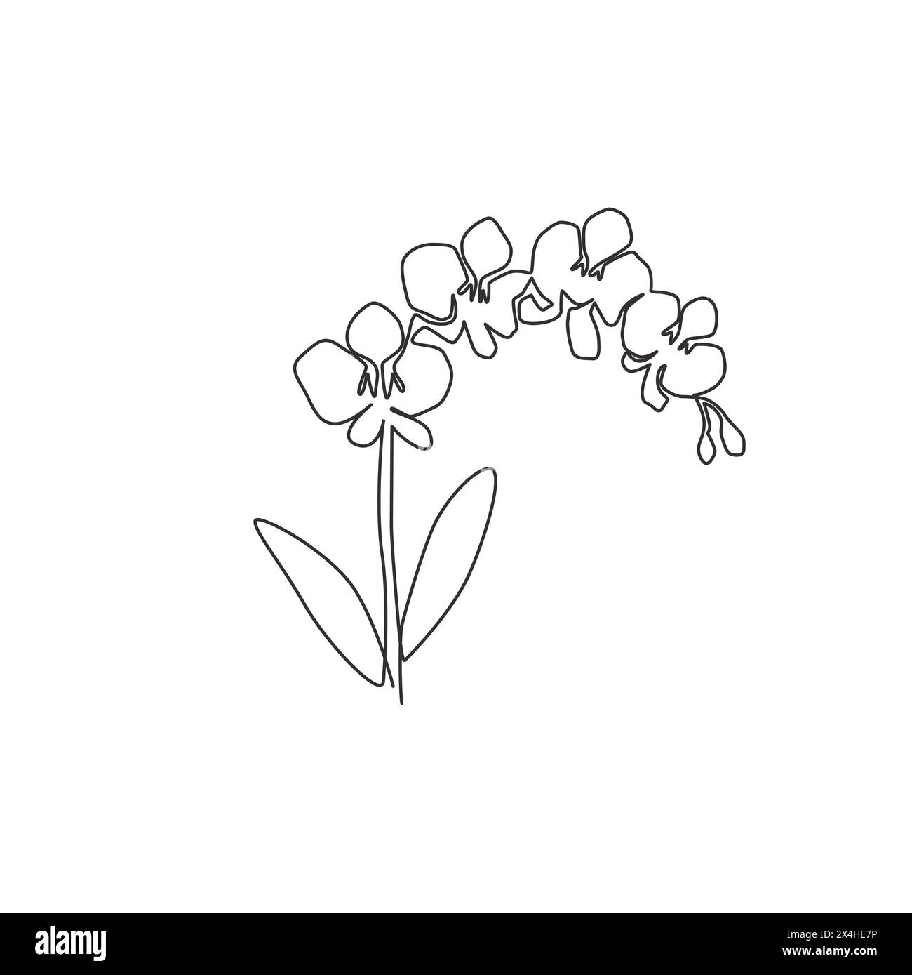 One single line drawing of beauty fresh gladiolus for home wall decor ...