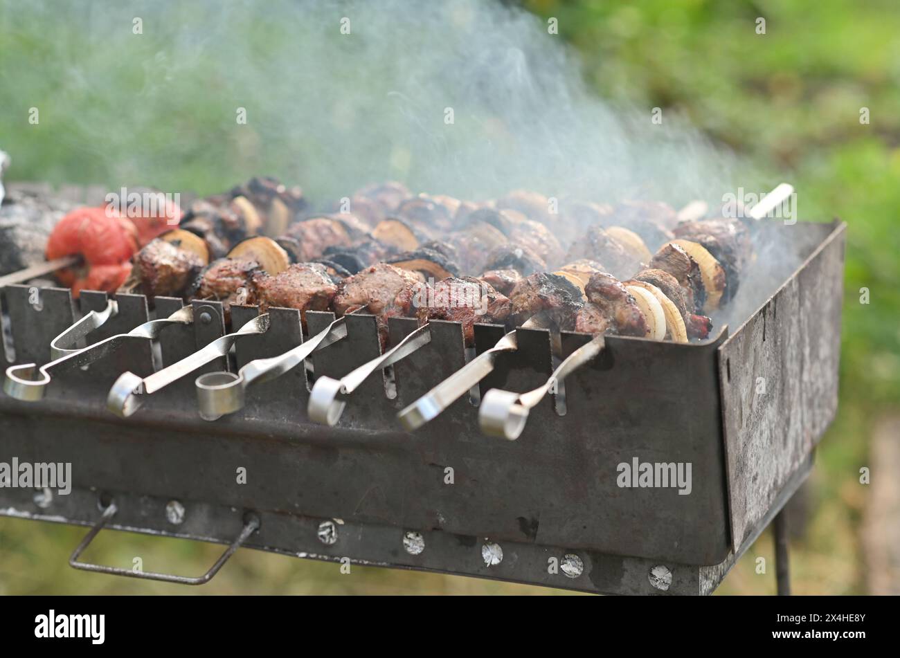 Meat kebab cooked on a barbecue grill Stock Photo - Alamy