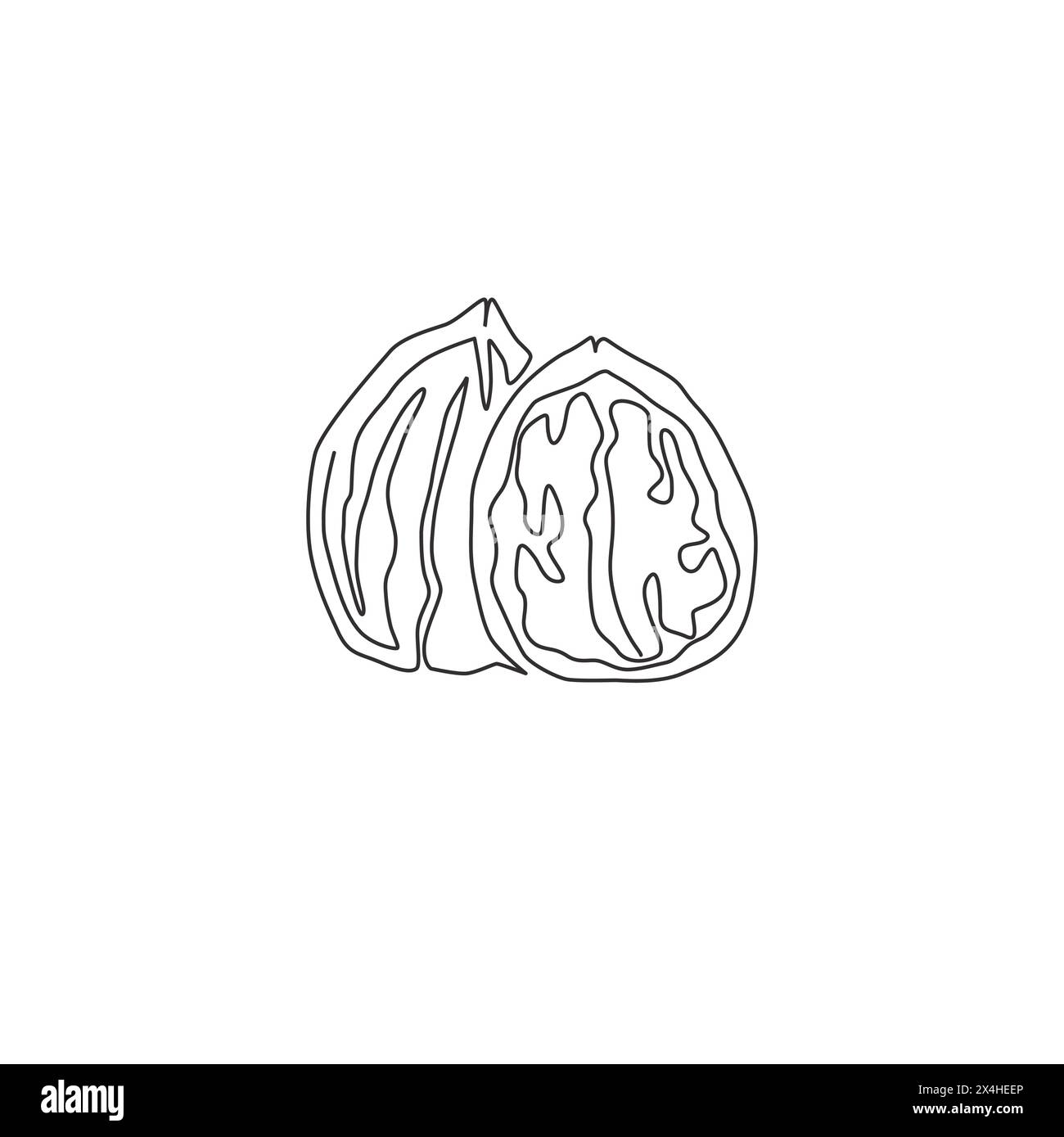 One continuous line drawing of whole healthy organic walnut food for ...