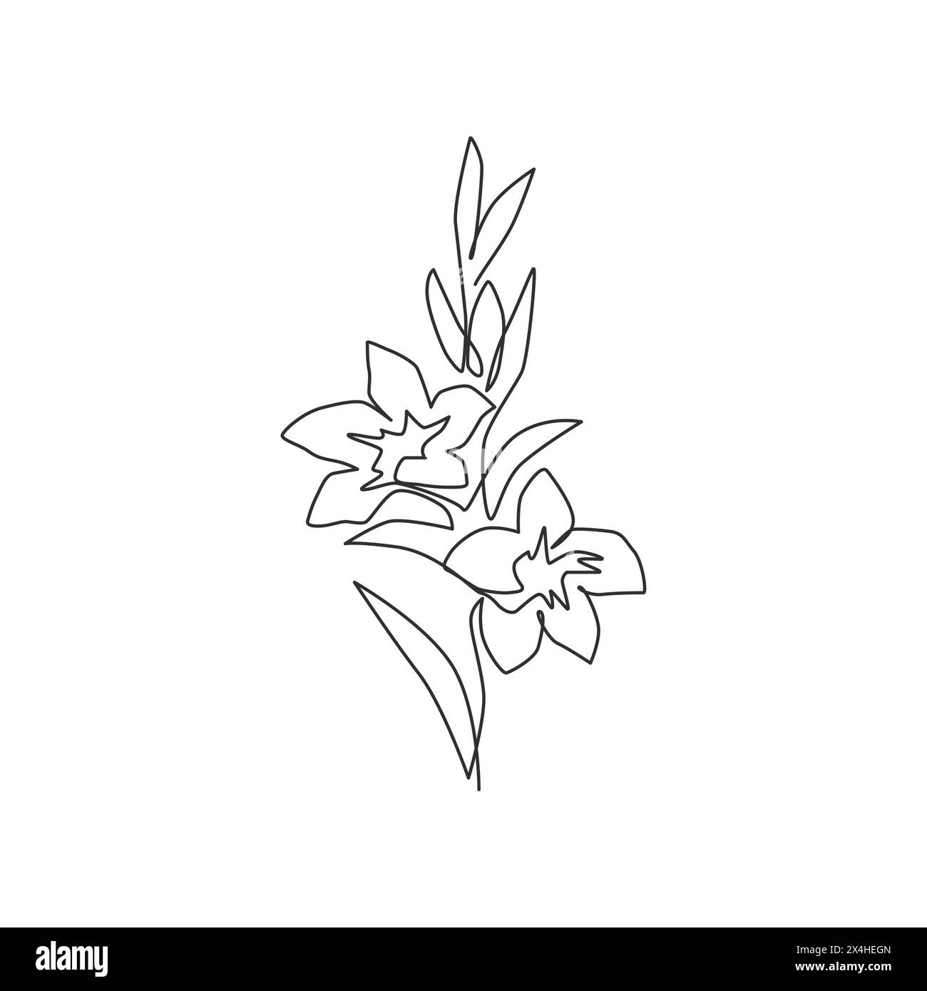 One continuous line drawing of beauty fresh orchid for garden logo ...