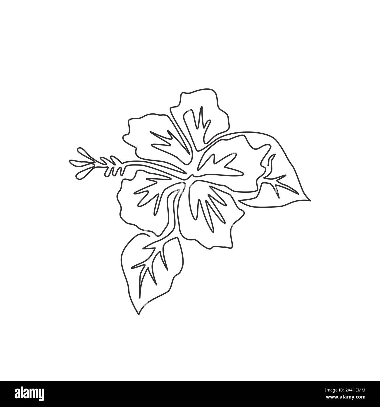 Single continuous line drawing of beauty fresh hibiscus for park logo ...