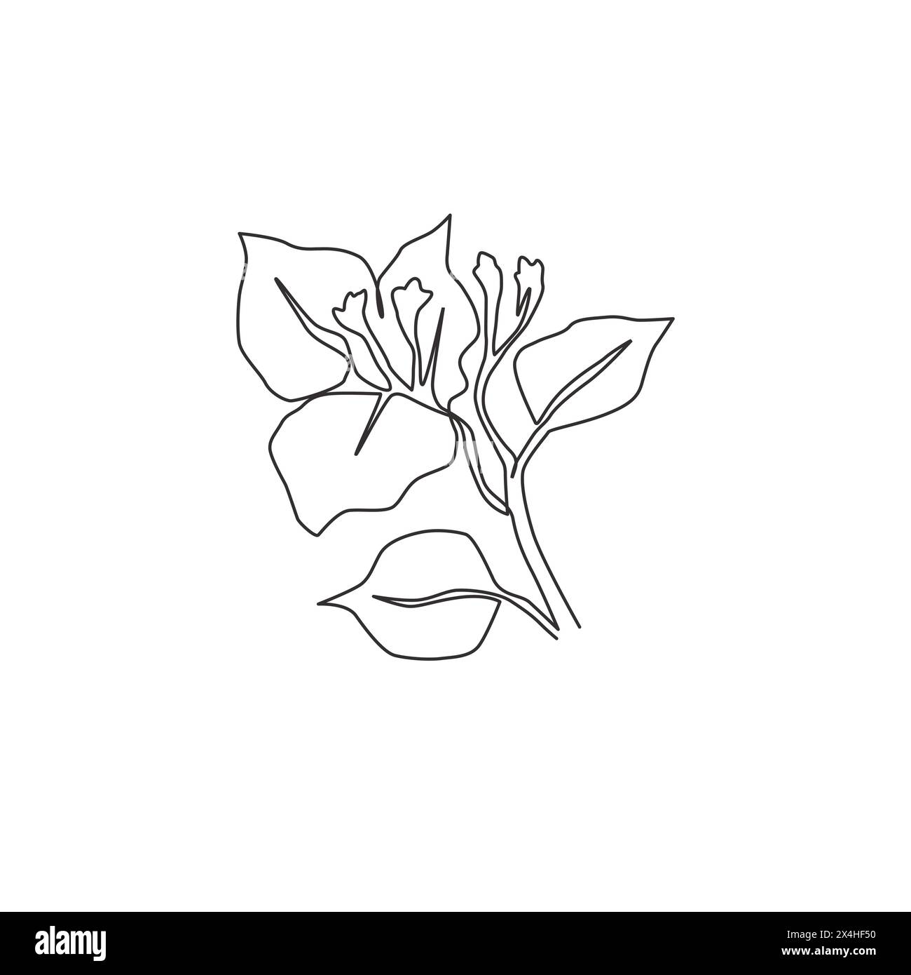 One continuous line drawing of beauty fresh bougainville for home wall ...