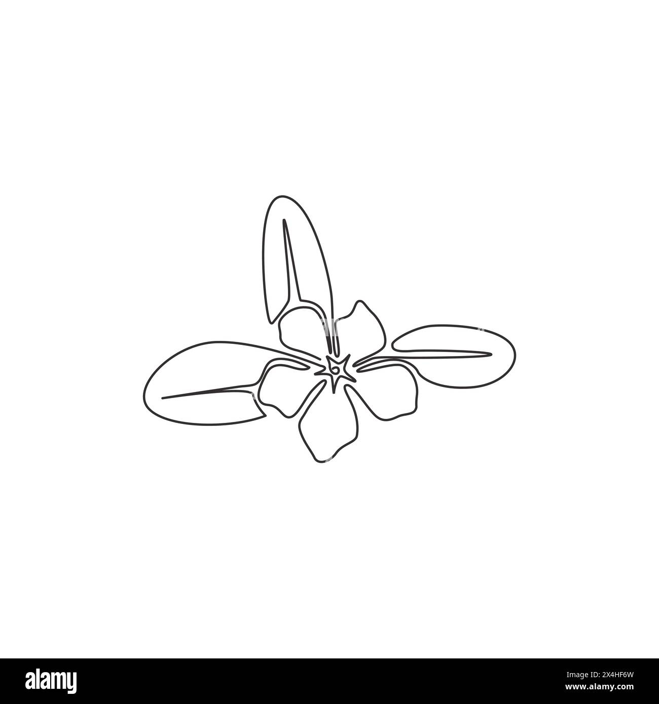 One Single Line Drawing Of Beauty Fresh Periwinkle For Home Wall Decor