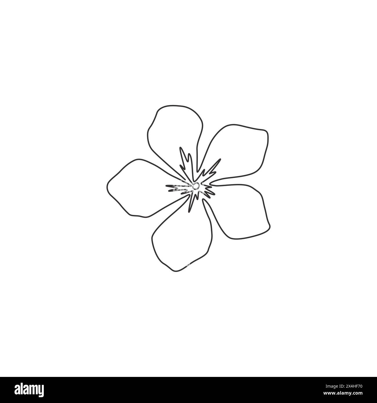 One Continuous Line Drawing Beauty Fresh Periwinkle For Garden Logo