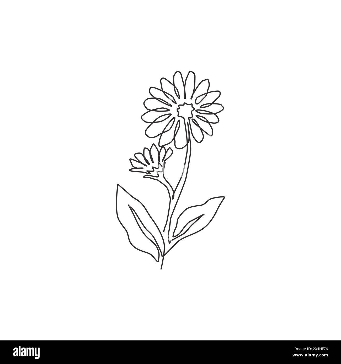 One continuous line drawing of beauty fresh calendula for home decor ...