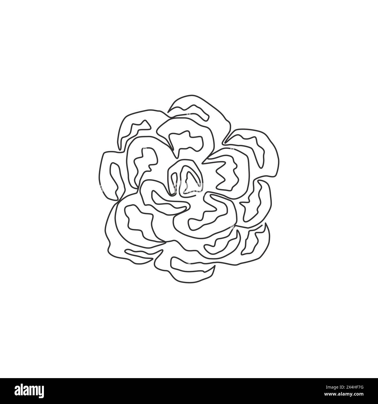 Single one line drawing beauty fresh carnation for home art wall decor ...
