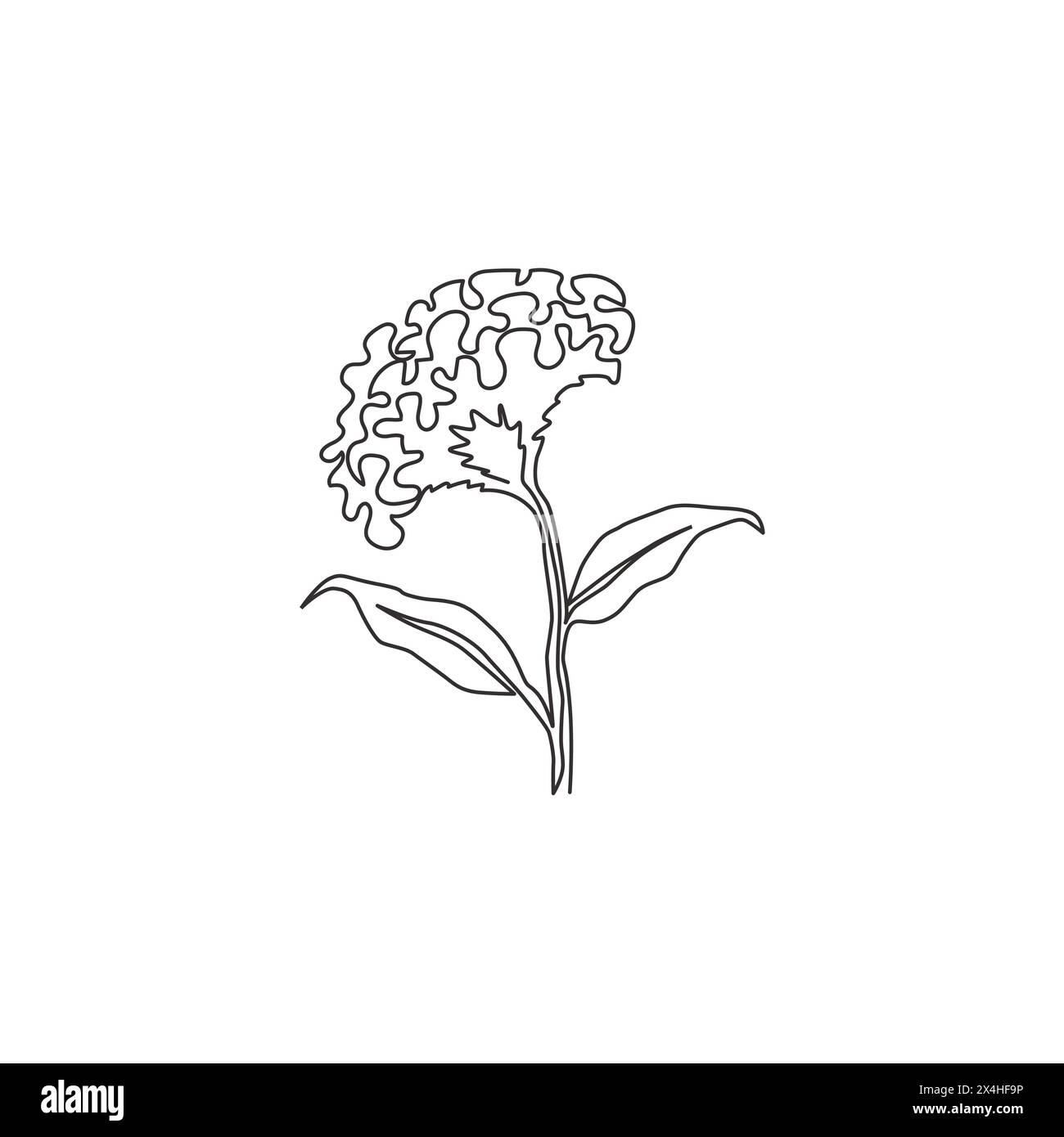 Wool tree plant Stock Vector Images - Alamy